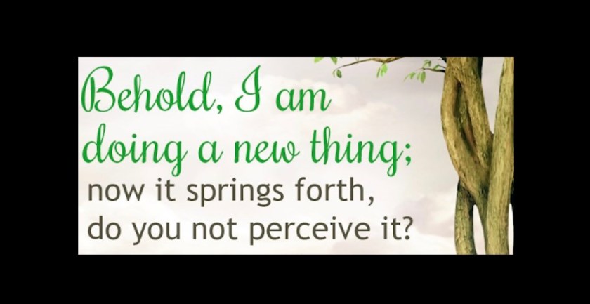 “God Is Doing A New Thing, Can You Not Perceive It?” – Coping Advice ...
